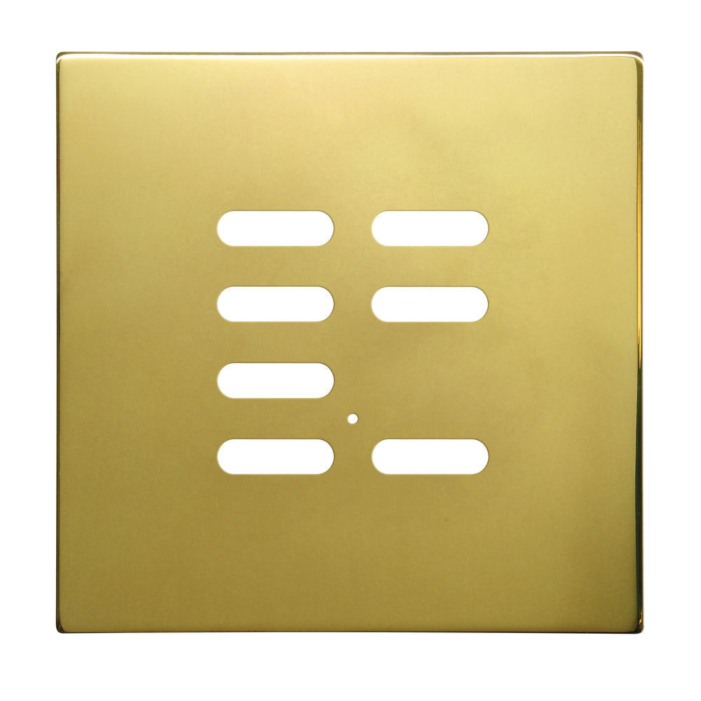 Wise Intense Polished Brass Plate | Mr Resistor Lighting