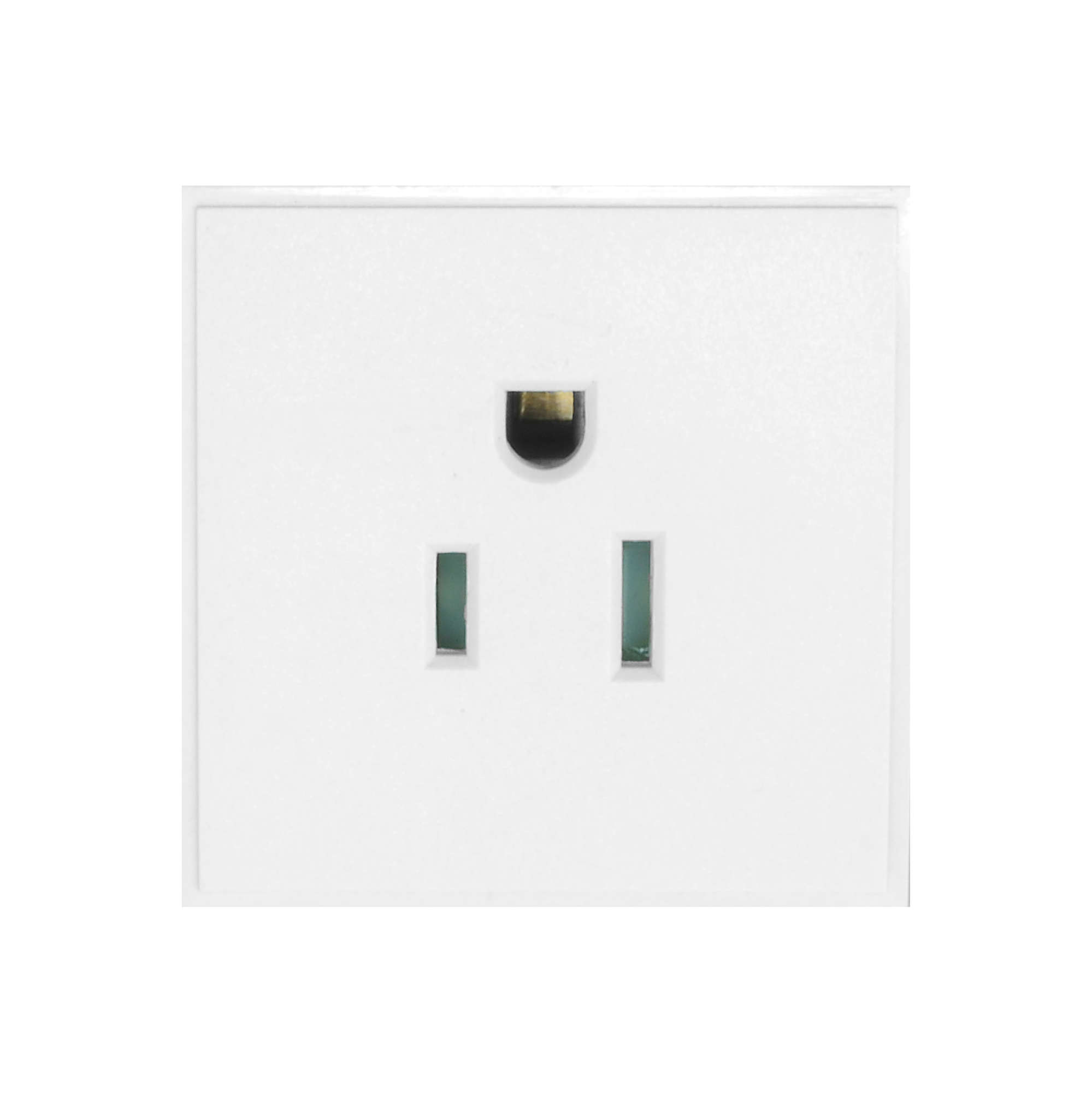 Euro Socket Modules 15A USA Unswitched White | Mr Resistor Lighting