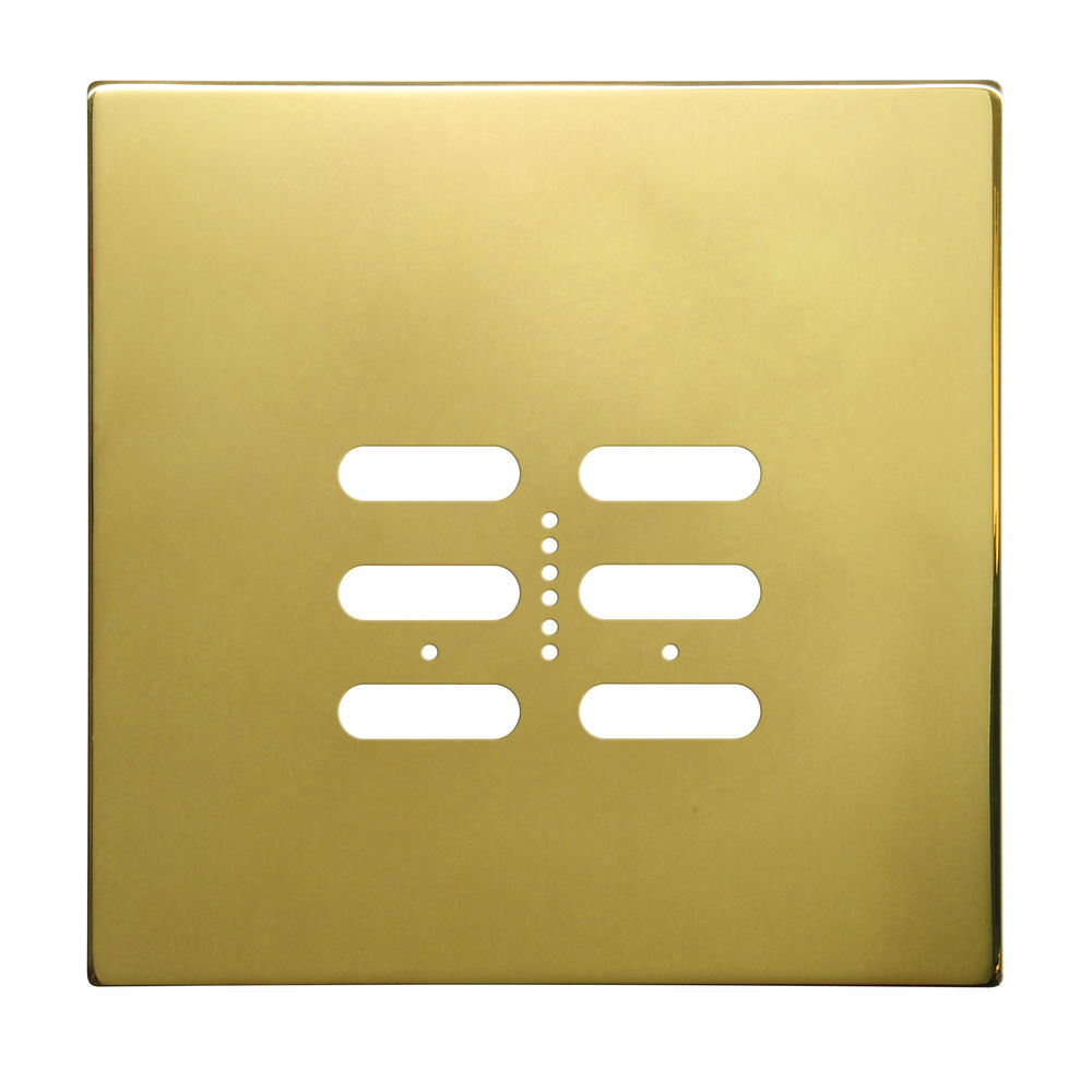 Wise Fusion Plate 2 Gang Plate Polished Brass | Mr Resistor Lighting
