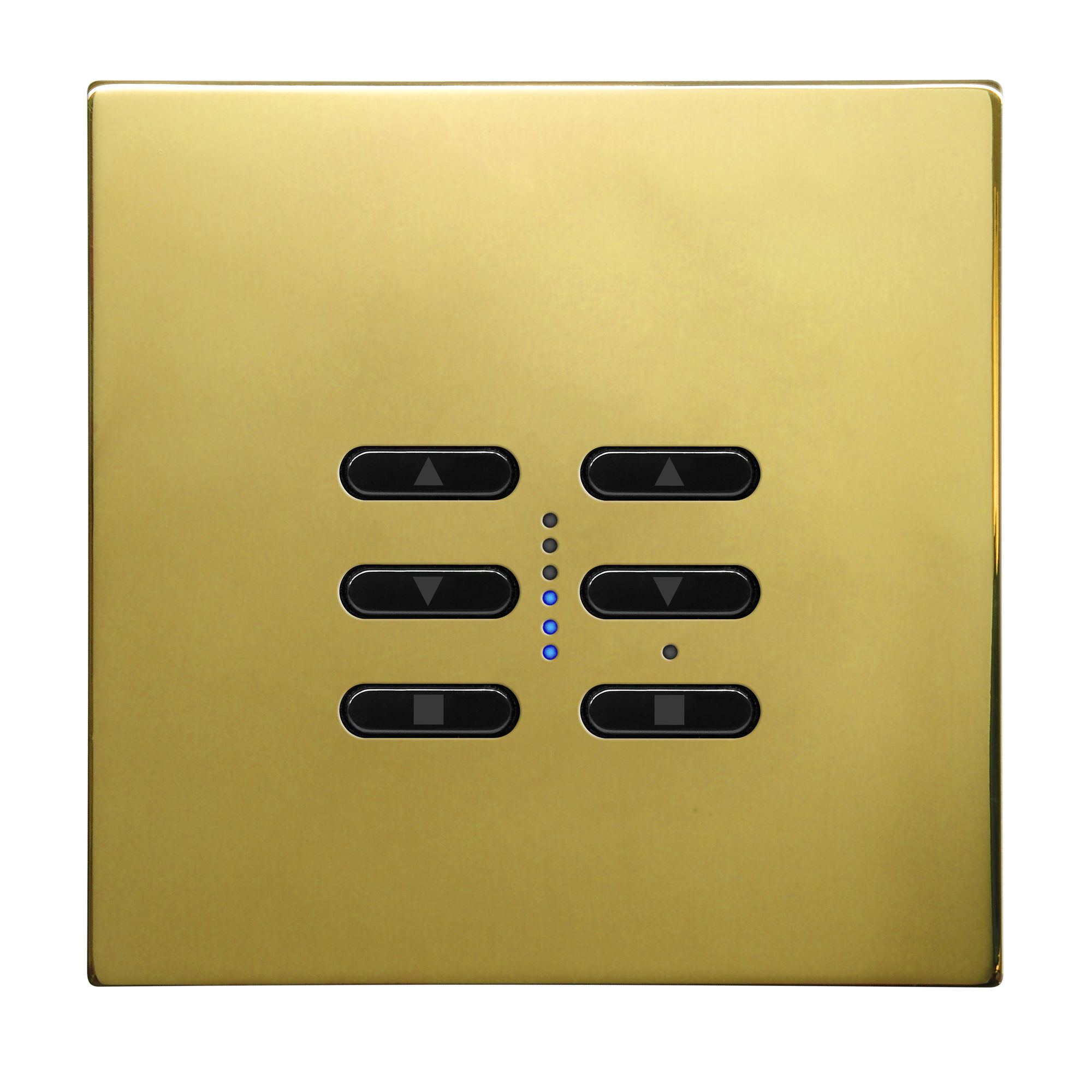 Wise Fusion Smart Dimmer Master Wired 2 Gang 240V Polished Brass 2 x ...