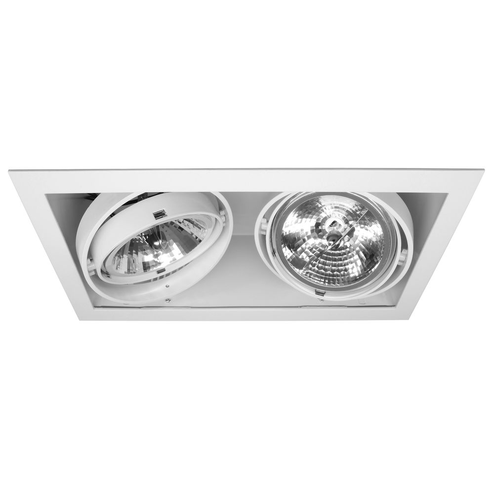Double Downlight QR111 12V 2 x 75W White | Mr Resistor Lighting