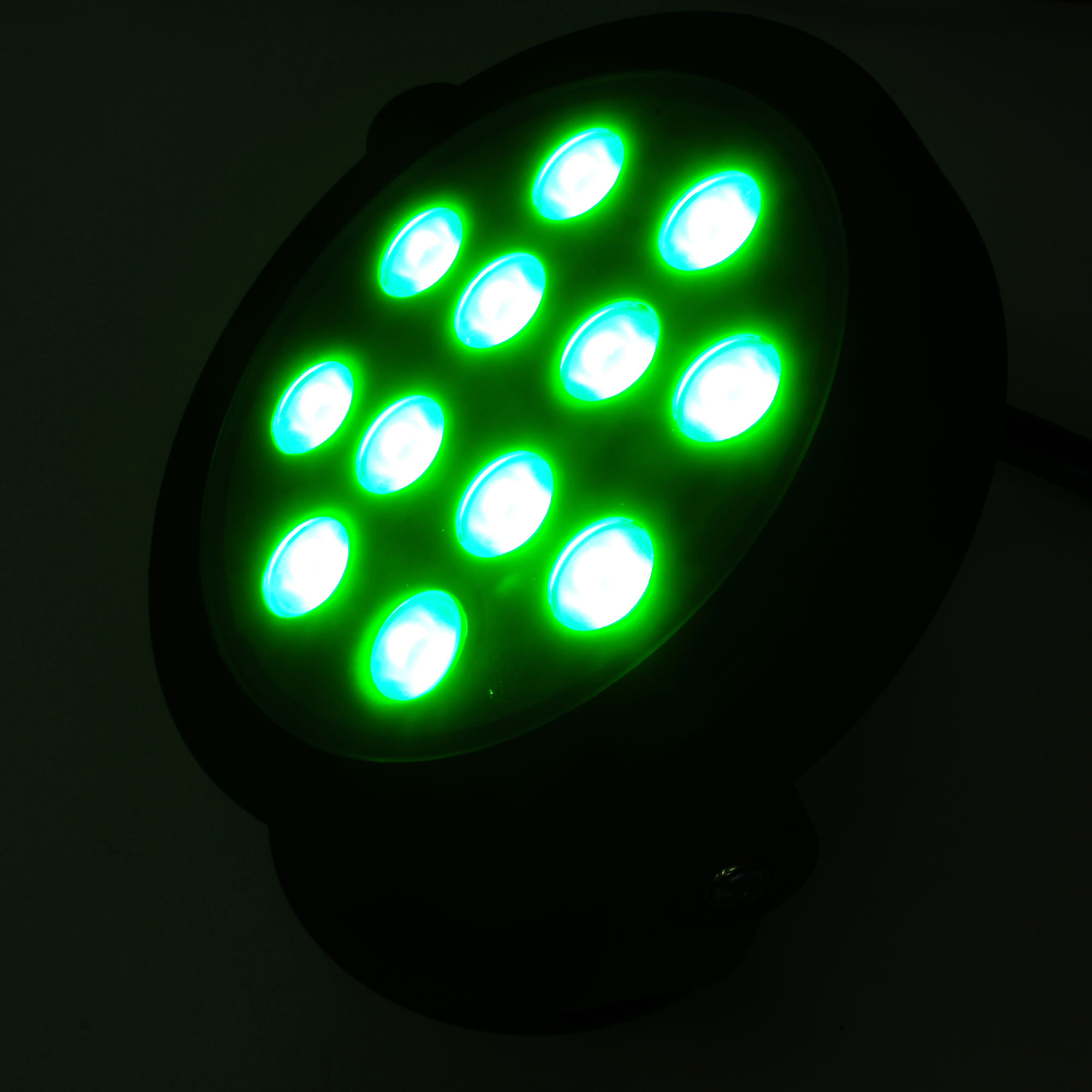 Architectural Outdoor Projector Spike 24V Slave 4 116W Black | Mr ...