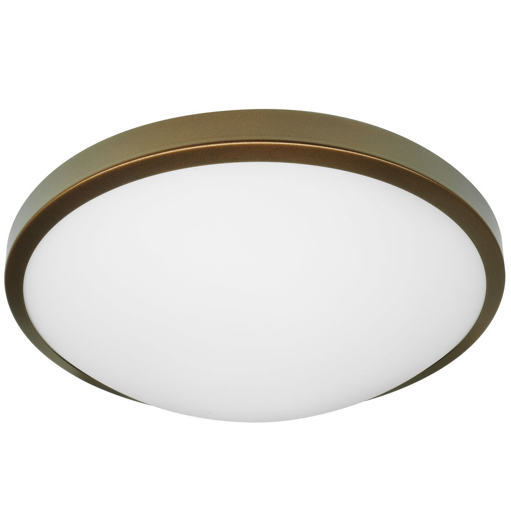Slim Round 2D Emergency 240V Bronze 28W | Mr Resistor Lighting