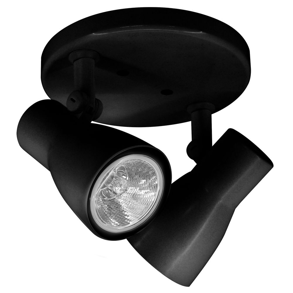 Big Nose Double Spotlight PAR20 240V 120W Black | Mr Resistor Lighting