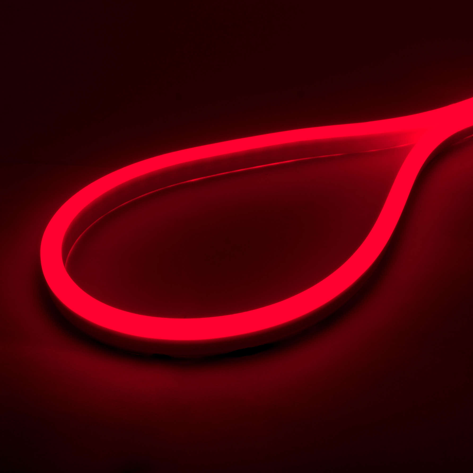 LED Neon Flex Slim 24V RGB(15mm) RGB 13.4W | Mr Resistor Lighting
