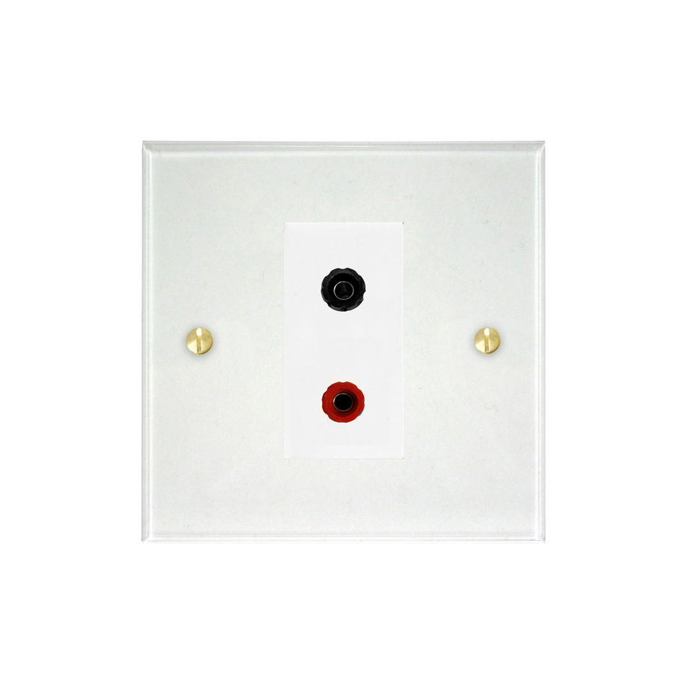 Prism Speaker Socket 1 gang speaker Clear Perspex | Mr Resistor Lighting