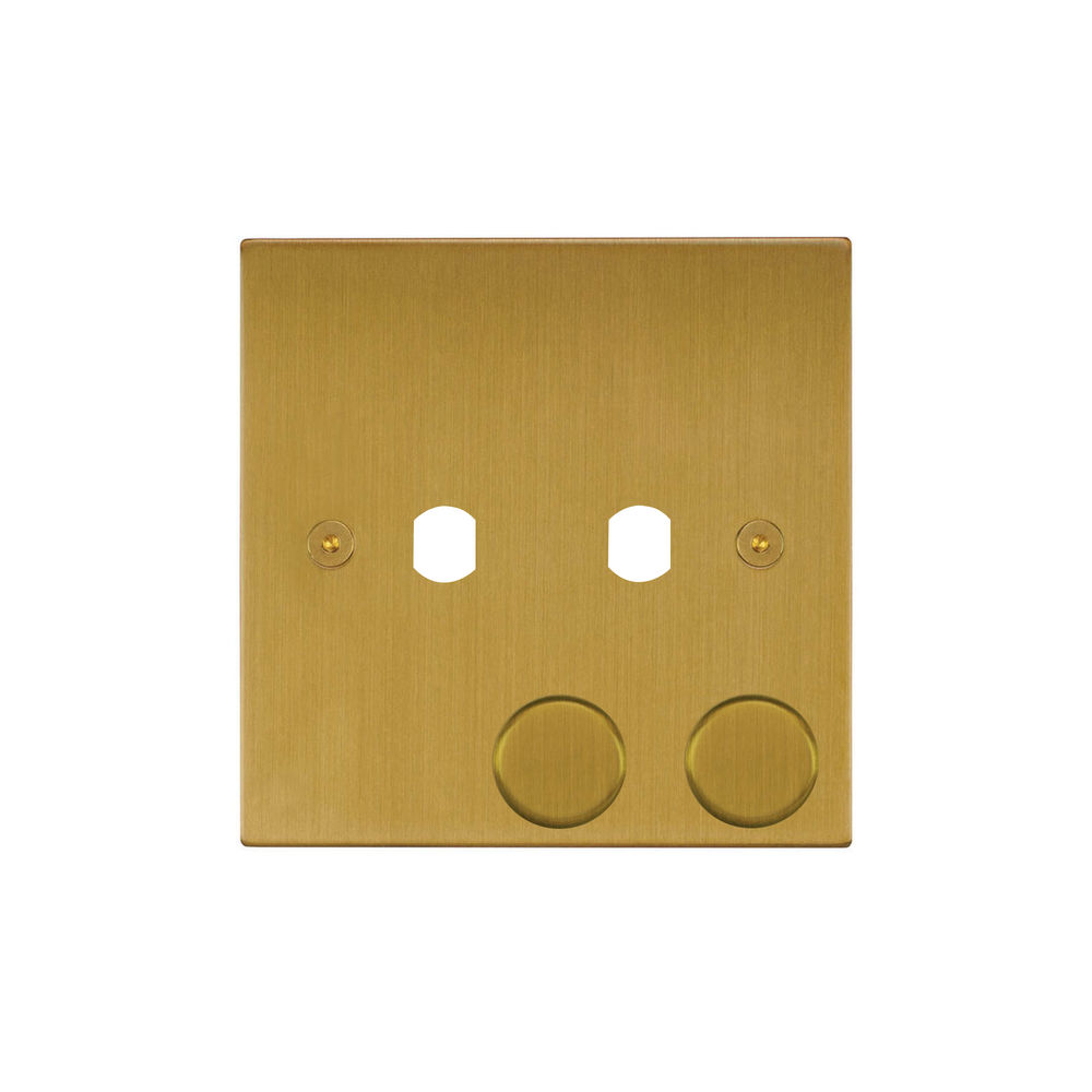 Horizon Square Dimmer Plate and Caps 2 gang Satin Brass | Mr Resistor ...