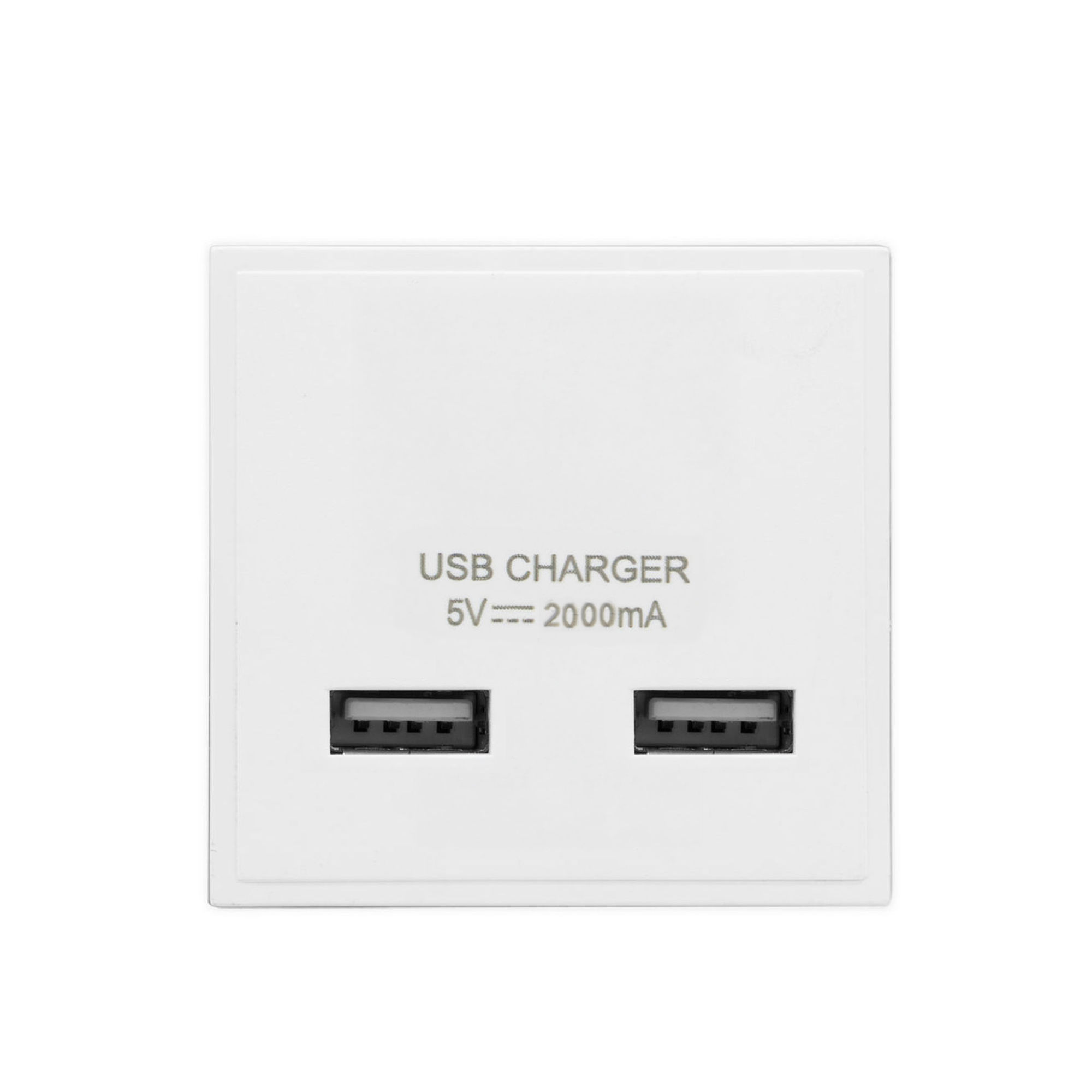 Euro USB-A+A Charger Modules USB White | Mr Resistor Lighting