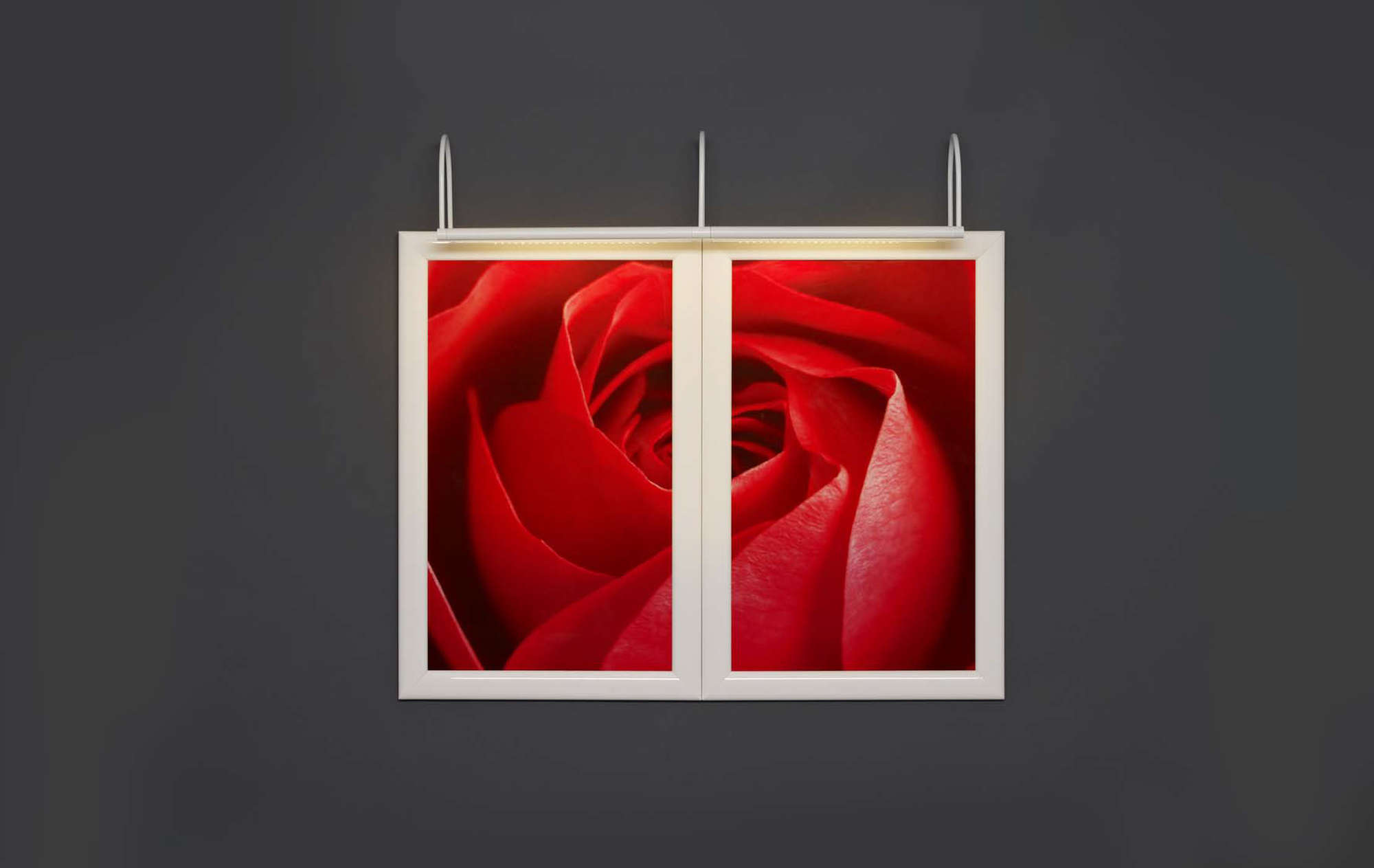 Clarus LED Picture Light 160mm 2400K Warm White 24V 0.6W Brass | Mr ...