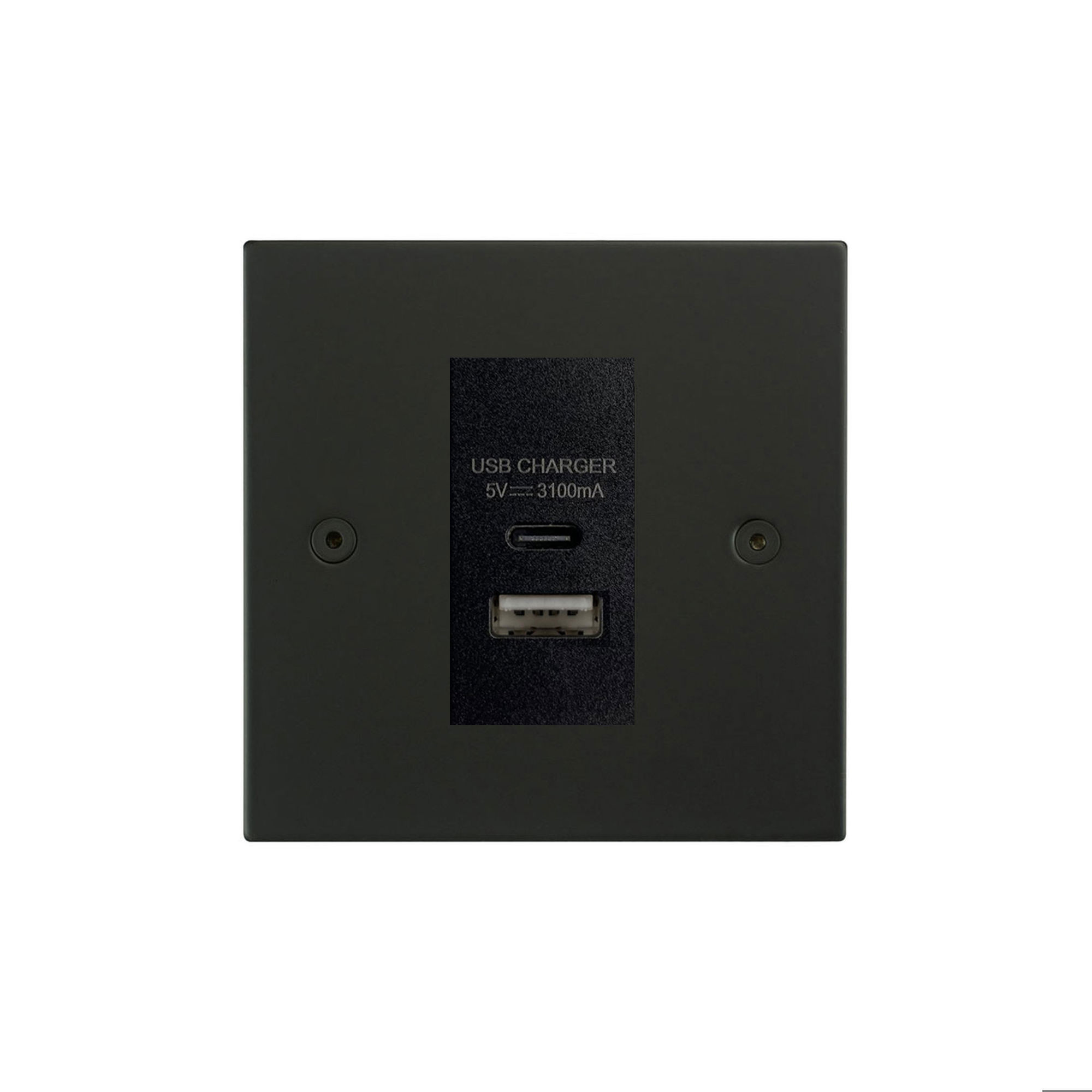 Horizon Square USB A+C Socket Euro USB A and USB Type C Charger Matt ...