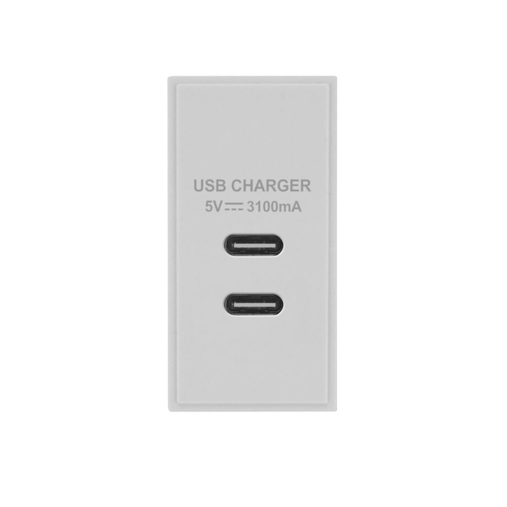 Euro USB Type C + C Charger Module USB C White | Mr Resistor Lighting