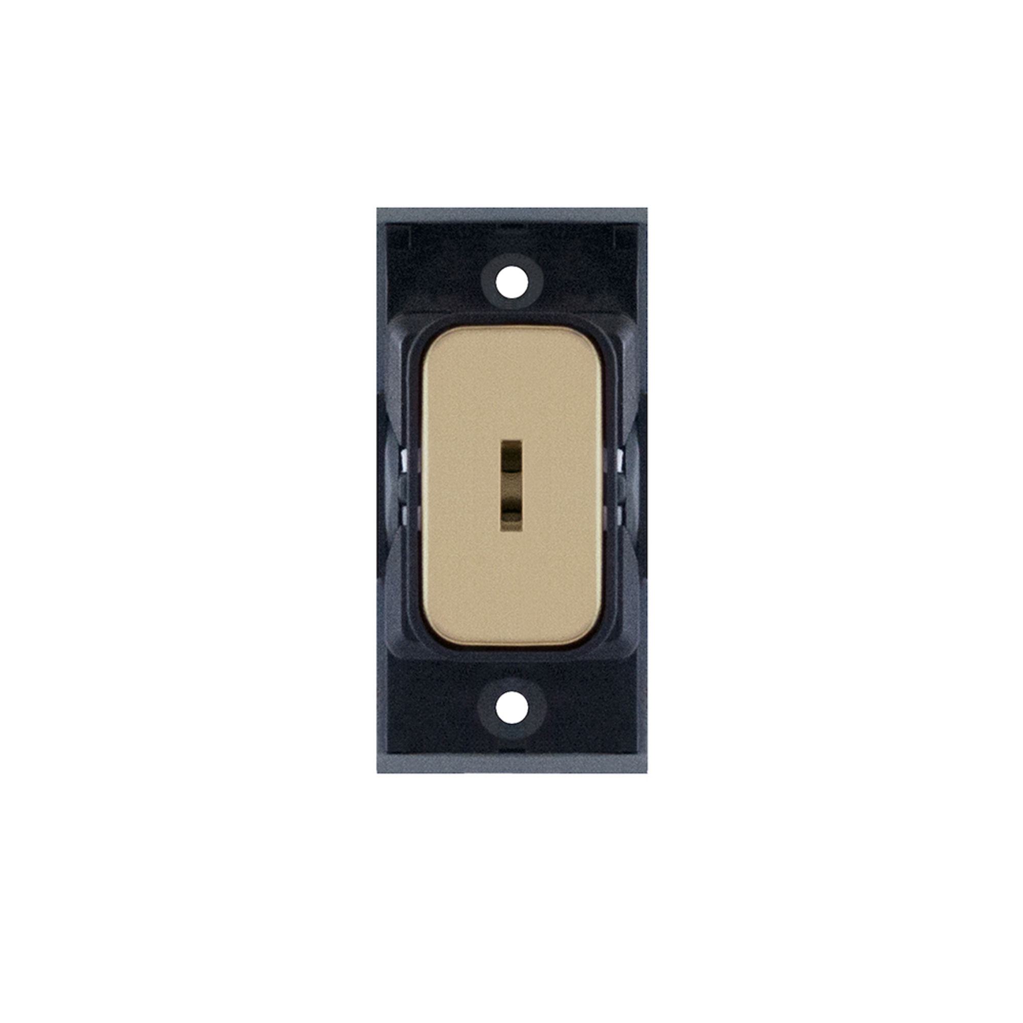 Screwless Key Switch Module DP Key Switch Satin Brass | Mr Resistor ...