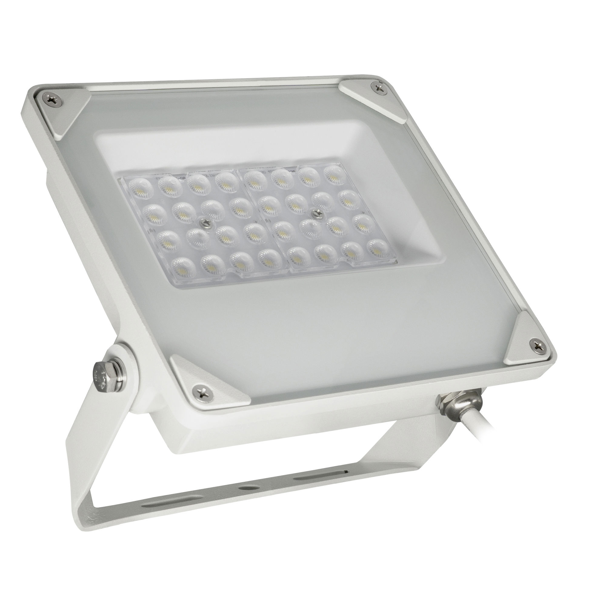 LED White High Brightness Outdoor Garden Floodlight Spike 240V 30W ...