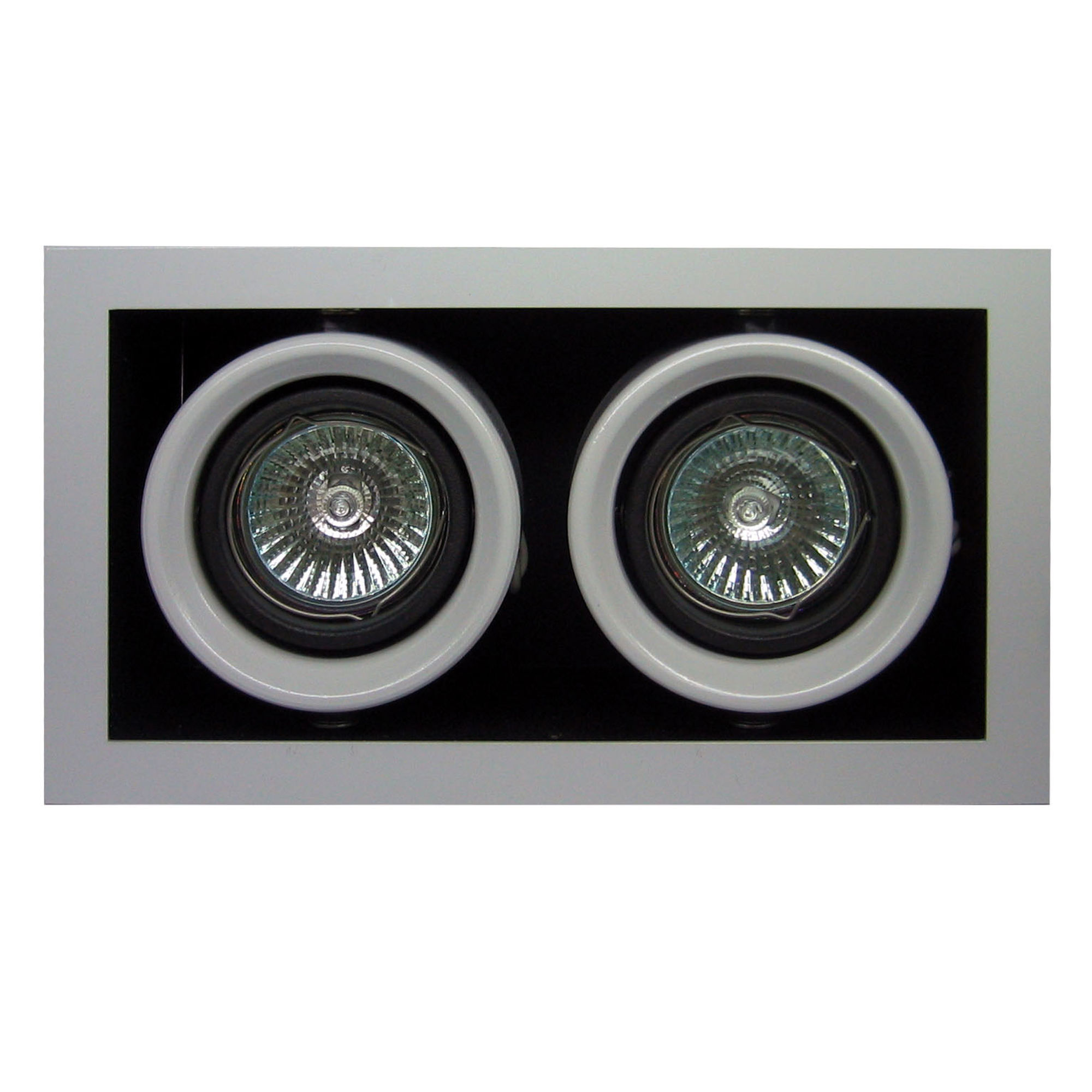 Double Downlighter 12V 2 x 50W Silver | Mr Resistor Lighting