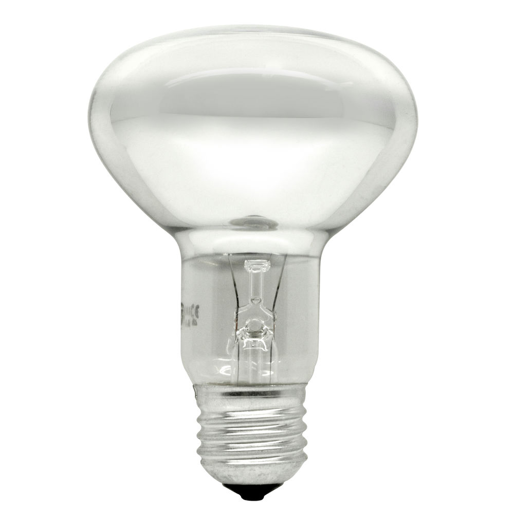 ES Diffused Reflector Lamps 75W | Mr Resistor Lighting