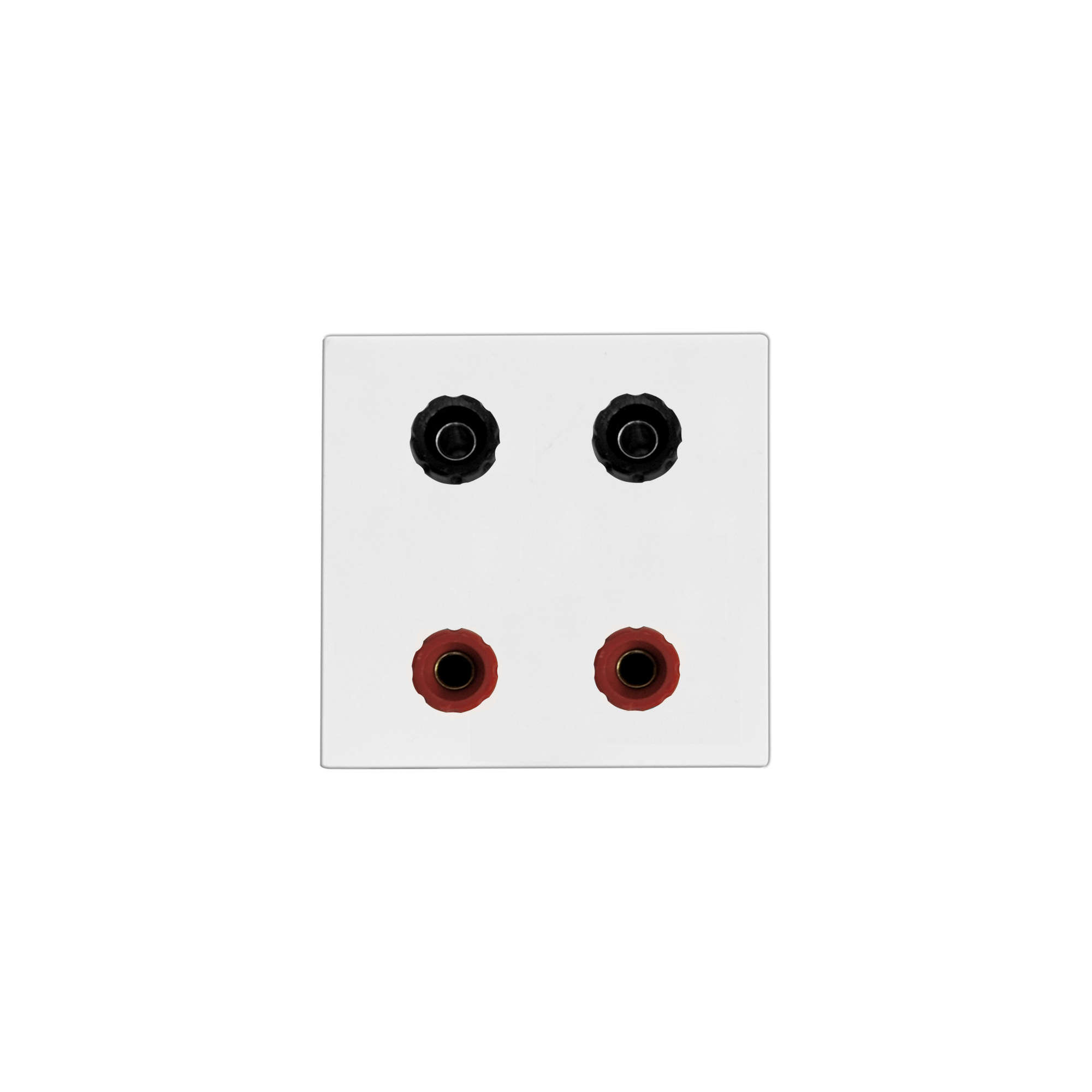 Euro Audio Visual Modules Speaker Module, 4 Posts White | Mr Resistor ...