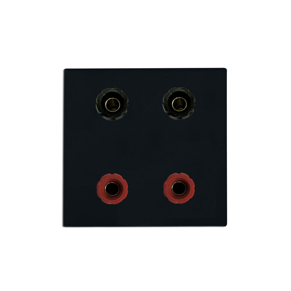 Euro Audio Visual Modules Speaker Module, 4 Posts Black | Mr Resistor ...